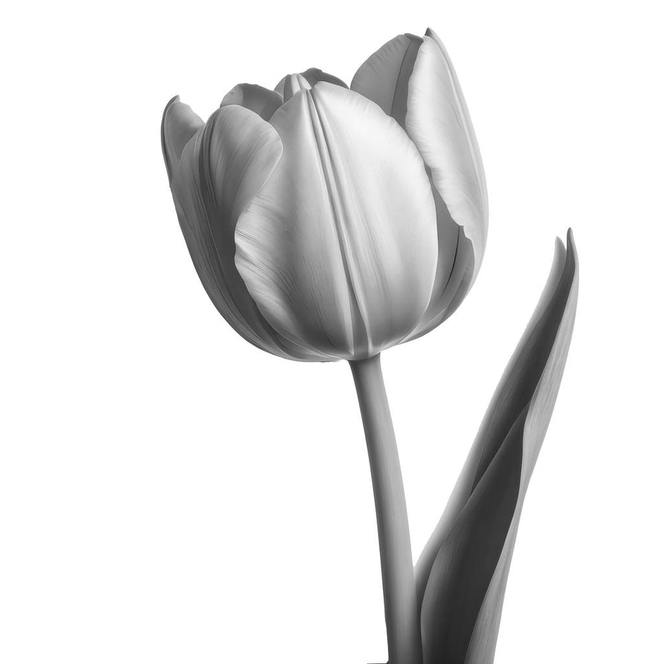 Tools Made For Tattooing – TatToolKit